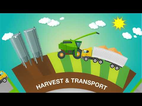 SEEDCARE World – Syngenta Seedcare: The Journey of a Seed