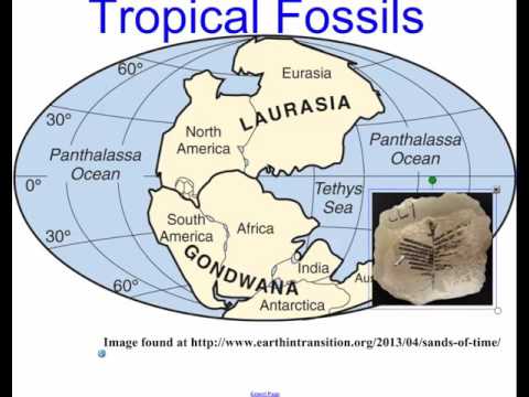 Evidence of Continental Drift