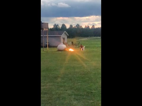 Someone is about to learn what B.L.E.V.E. stands for. #boom #fire #shorts