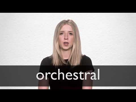 ORCHESTRAL 释义 | 柯林斯英语词典