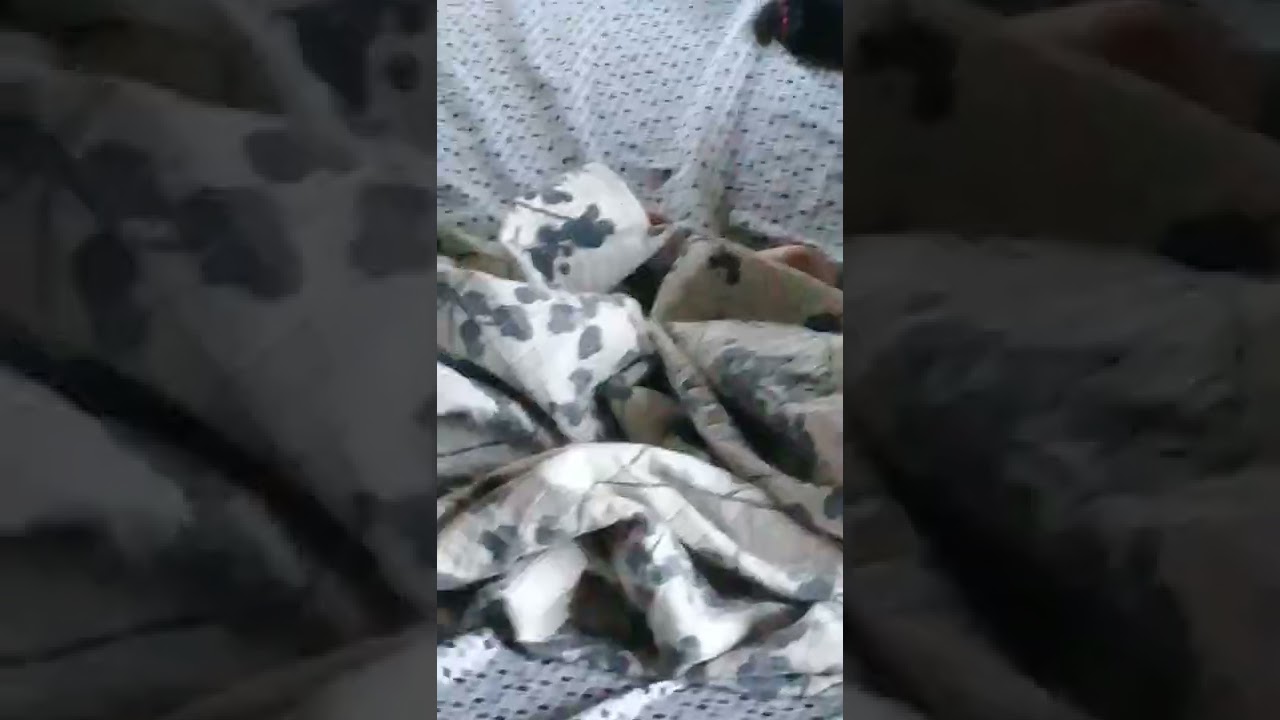 Der On His Bed Alone(https://youtu.be/Nk5RF3wk-7k)