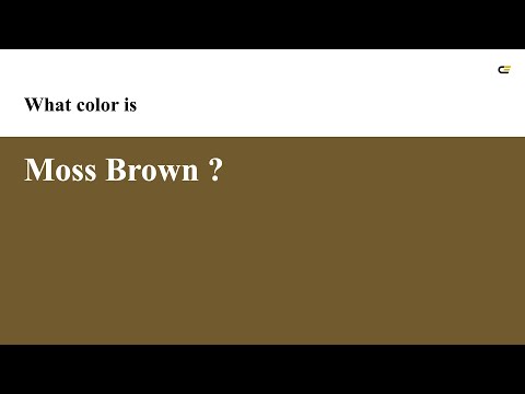 Moss Brown color #715b2e hex color - Yellow color - Cool color 715b2e