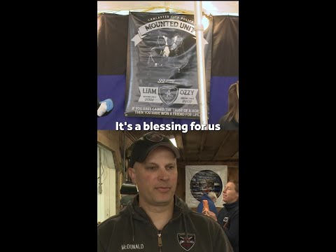 Retirement party for Lancaster police horses