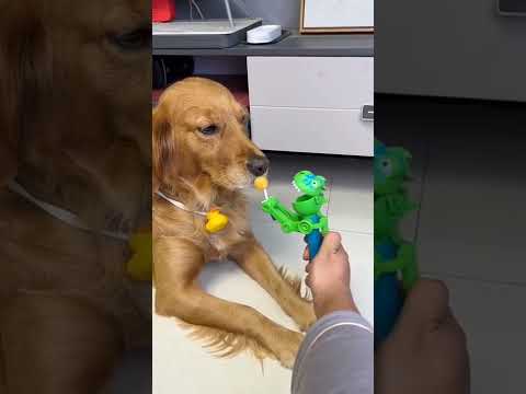 Try not to laugh!!! Dog eating lollipop π
π€£π