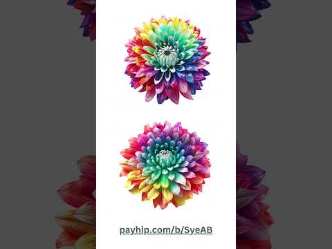 Rainbow Chrysanthemum Flower Clipart - Free Commercial License - Print On Demand - Scrapbooking