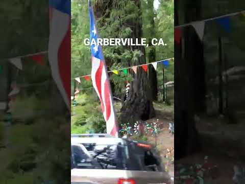 #legendofbigfoot store in #garberville #redwoodforest #norcal #humboldt #southforkeelriver