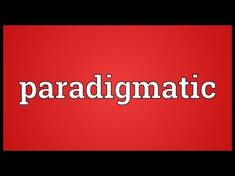 Paradigmatic Meaning