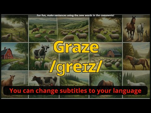 Graze meaning with 5 examples