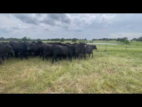 The Cattle Range Listing: 506D396