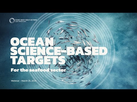 Launching Science-Based Targets for the Ocean: Seafood Value Chains