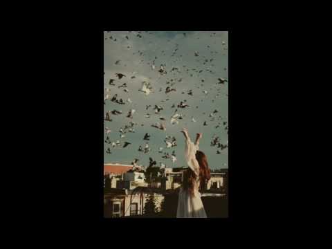 Méditation & apnée – Blog des Apneistes Mulhousiens (BAM !)