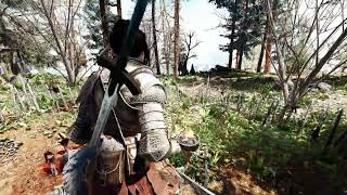 Alexa's NAT enb at Skyrim Special Edition Nexus - Mods and Community