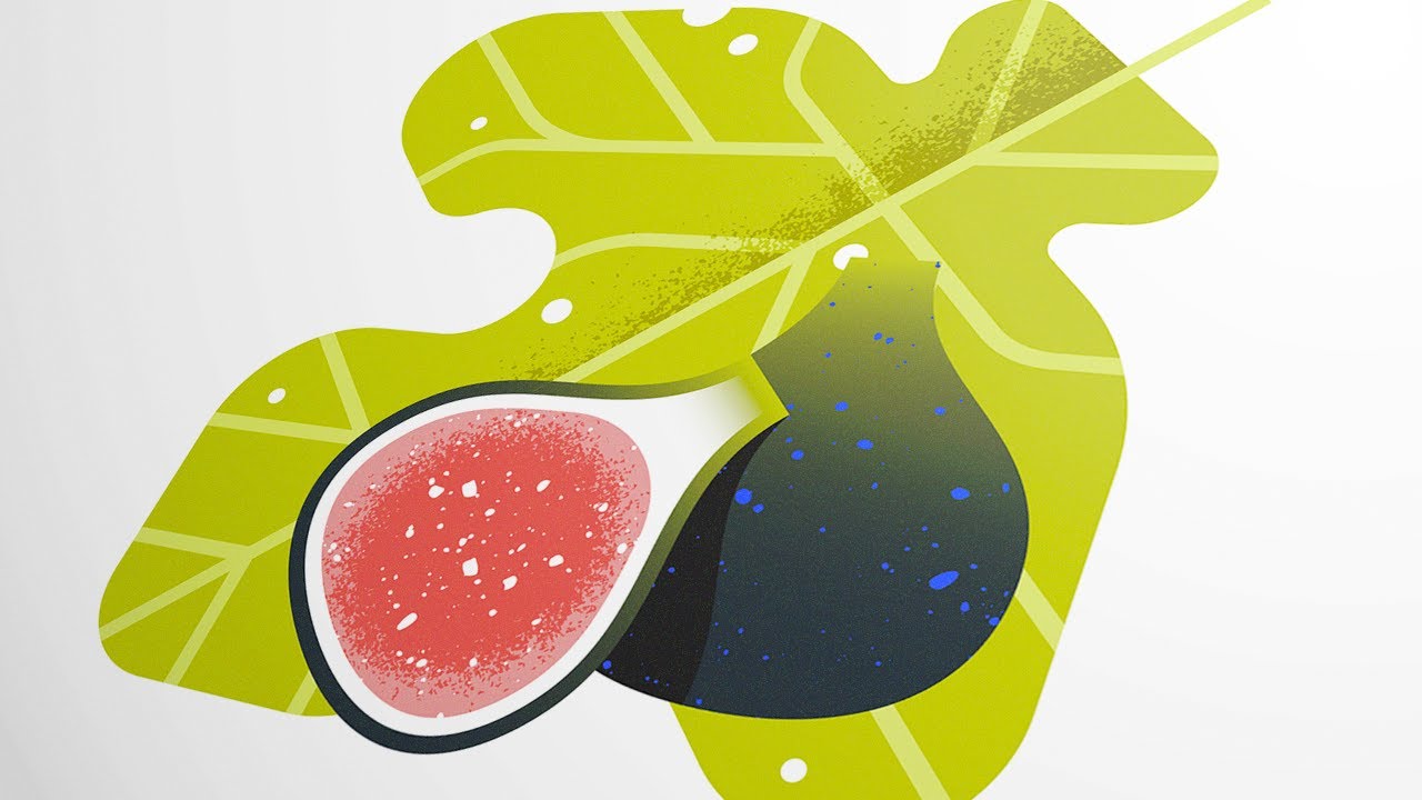 Botanical illustration step by step - Marco Goran Romano