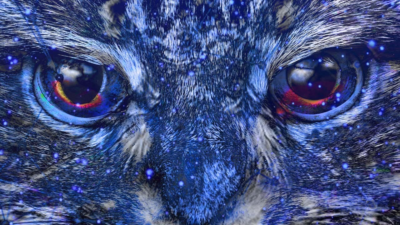 The Animistic Divine