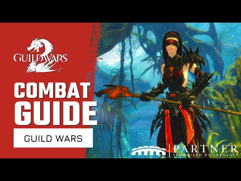 Steam Community :: Video :: Guild Wars 2 Combat & Skills Beginners ...