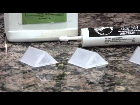 How to Kill Ants Under the Garden Soil