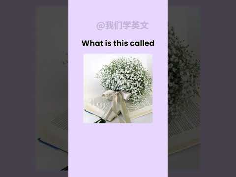 What are these flowers called?这些日常花卉的英文读法是什么 #dailyenglish #learn #english #learnchinese