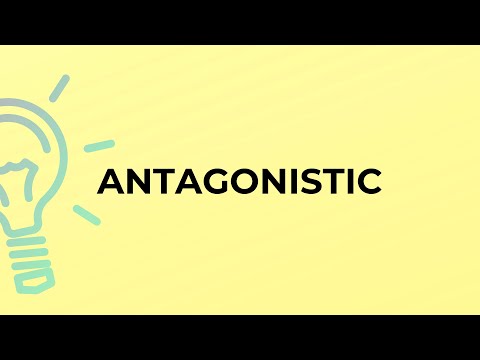 What is the meaning of the word ANTAGONISTIC?