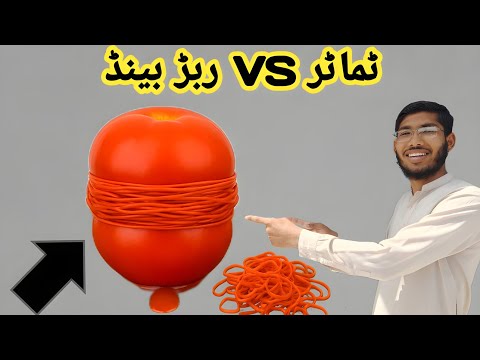 Tomato vs 100 Rubber Bands Crazy Experiment Bablu SKP