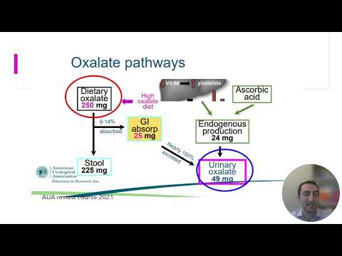 Metabolic Workup and Treatment of Stones - EMPIRE Urology In Service Review