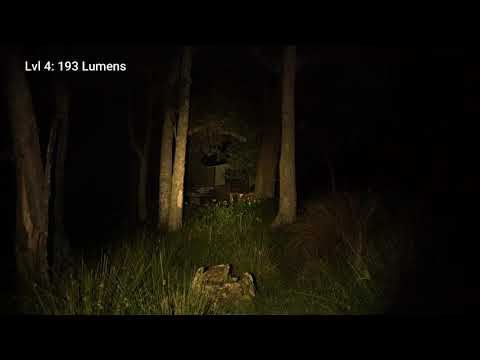 BLF A6, Cree XPL HD, 1400 Lumens (Demo)