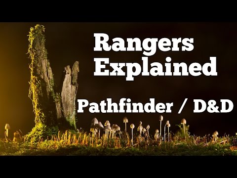 Ranger Class Explained | Pathfinder D&D for Beginners