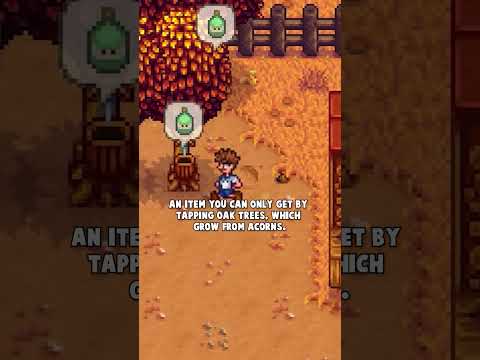 Here's Why You Should Be Saving Your Acorns in Stardew