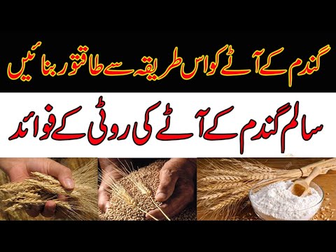 Whole Wheat Flour Benefits in Urdu | Roti Ke Fayde