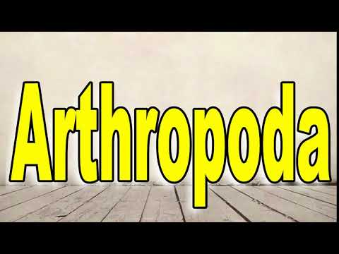 How to Pronounce Arthropoda