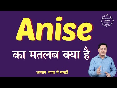 Anise meaning in Hindi | Anise ka matlab kya hota hai | English to hindi
