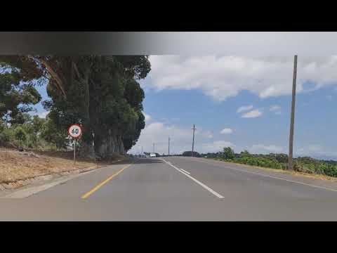 DRIVING THROUGH WINE FARMS ALL THE WAY TO DURBANVILLE FROM PARKLANDS #capetown #southafrica #tourism
