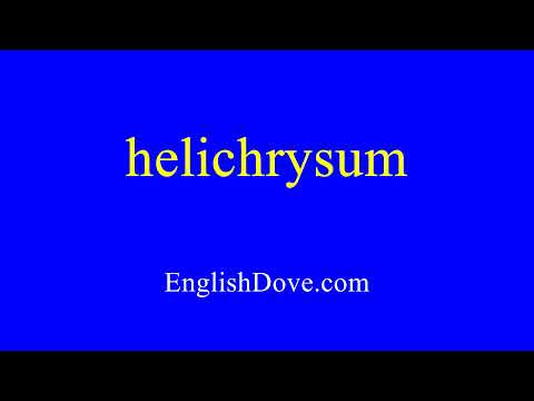 How to pronounce helichrysum in American English