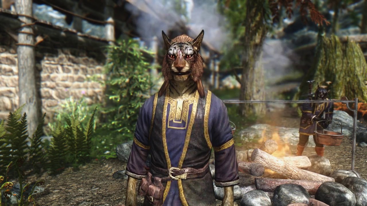 Khajiit has wares, if you have coin