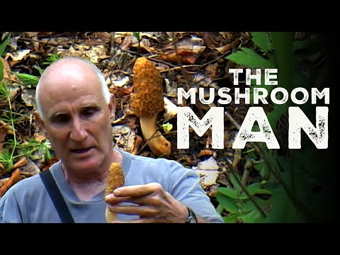 Finding Morels with the Mushroom Man