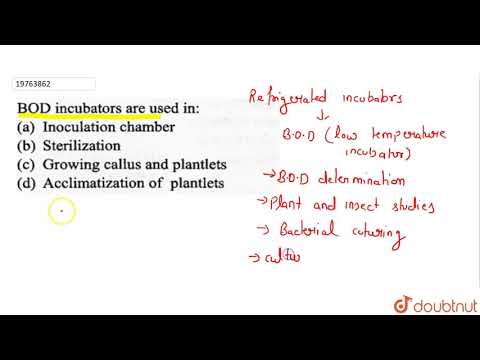 BOD incubators are used in: