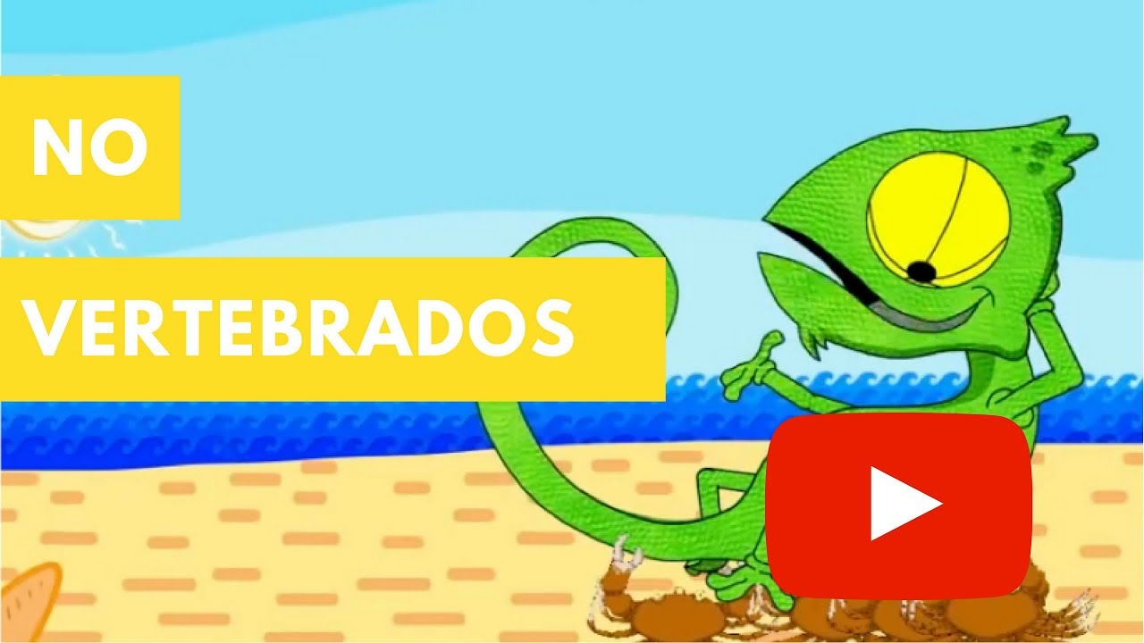 No Vertebrados | Camaleón