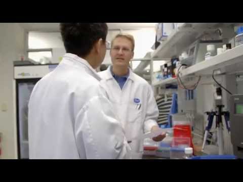 Investigating Therapeutic Vaccines