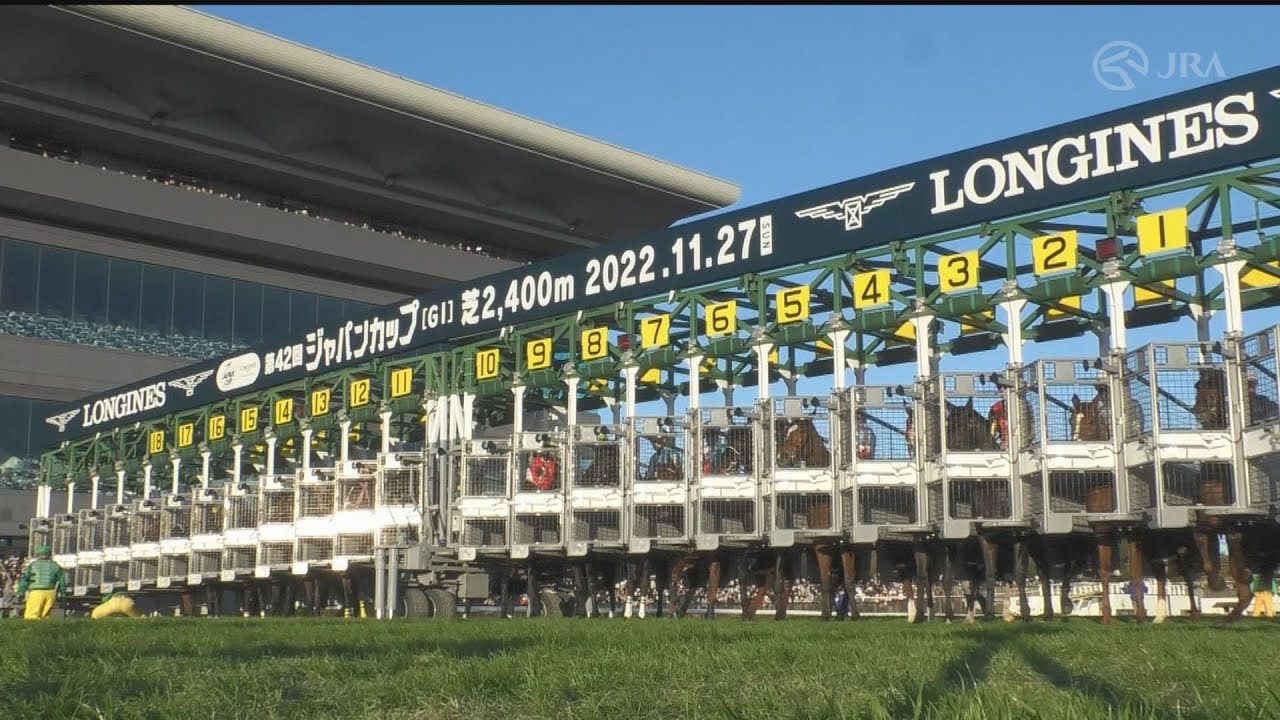Japan Cup 2025 - Runners, Odds, Tips & Bets