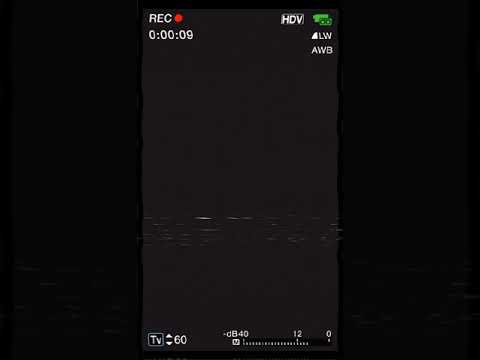 Vhs overlay (vertical)