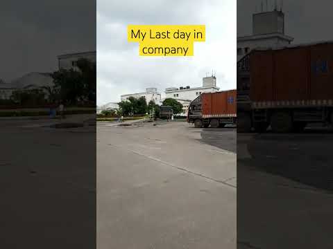 my last day in company ll #viral #jobs #company #foryou #ytshorts #shorts