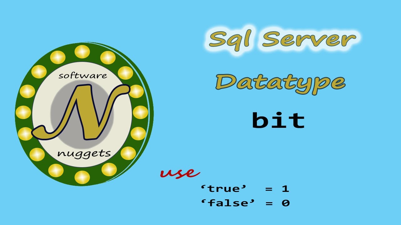 SQL Server: (L11) How to use the BIT data type.   aka (Boolean True or False)