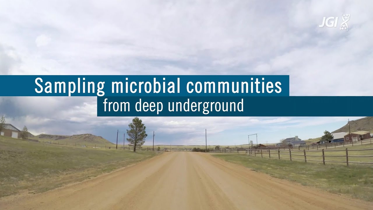 Sampling microbial communities from deep underground