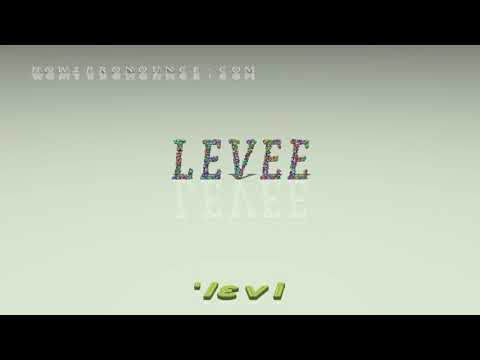 levee - pronunciation + Examples in sentences and phrases