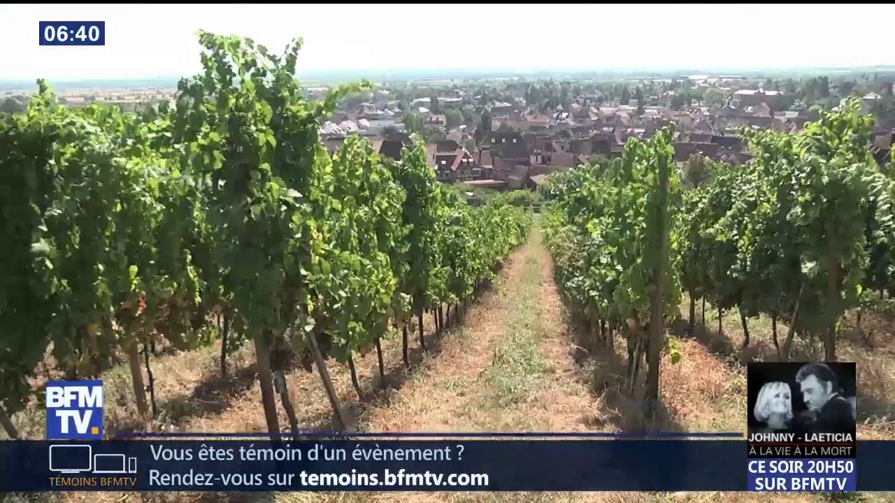 RSA Agricole dans l’Eure : une aide personnalisée au plus proche des ...