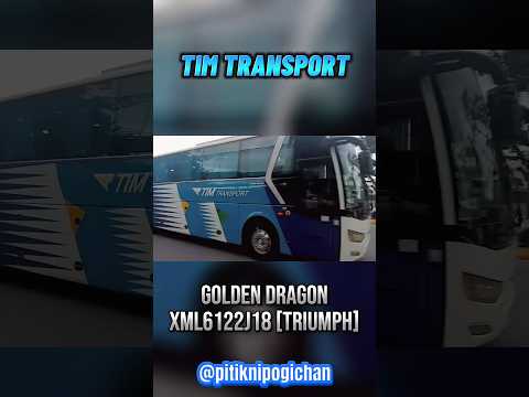Torres Bus • TIM TRANSPORT #pitiknipogichan