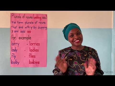 Plurals Of Nouns Ending With "-ies" - Primary 1