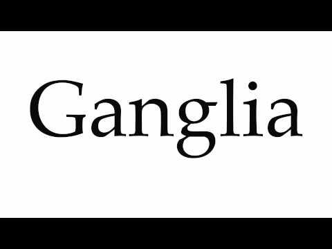 How to Pronounce Ganglia