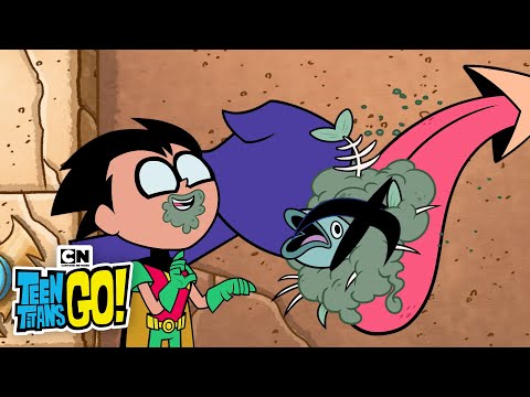 Winged Warriors | Teen Titans GO! | Cartoon Network