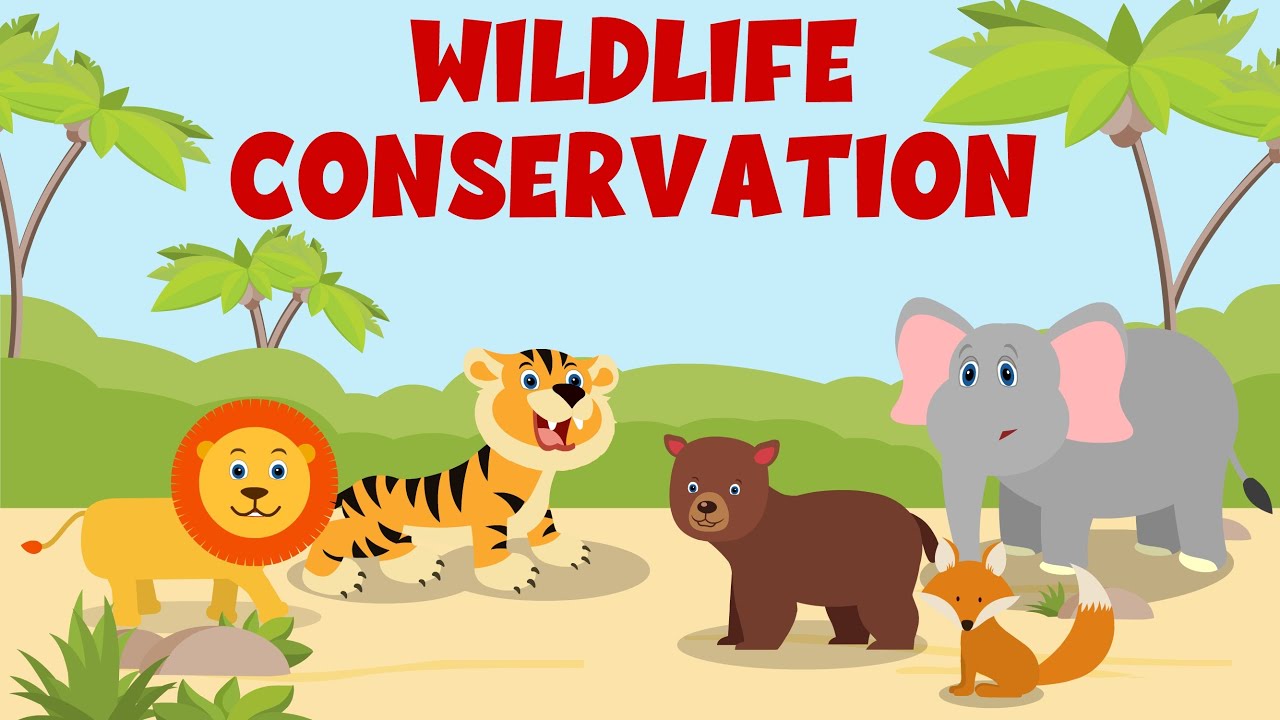 Animal Conservation Video - Wildlife Conservation - Learning Junction