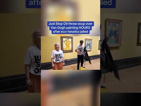 Just Stop Oil throw soup over Van Gogh painting HOURS after eco-fanatics jailed